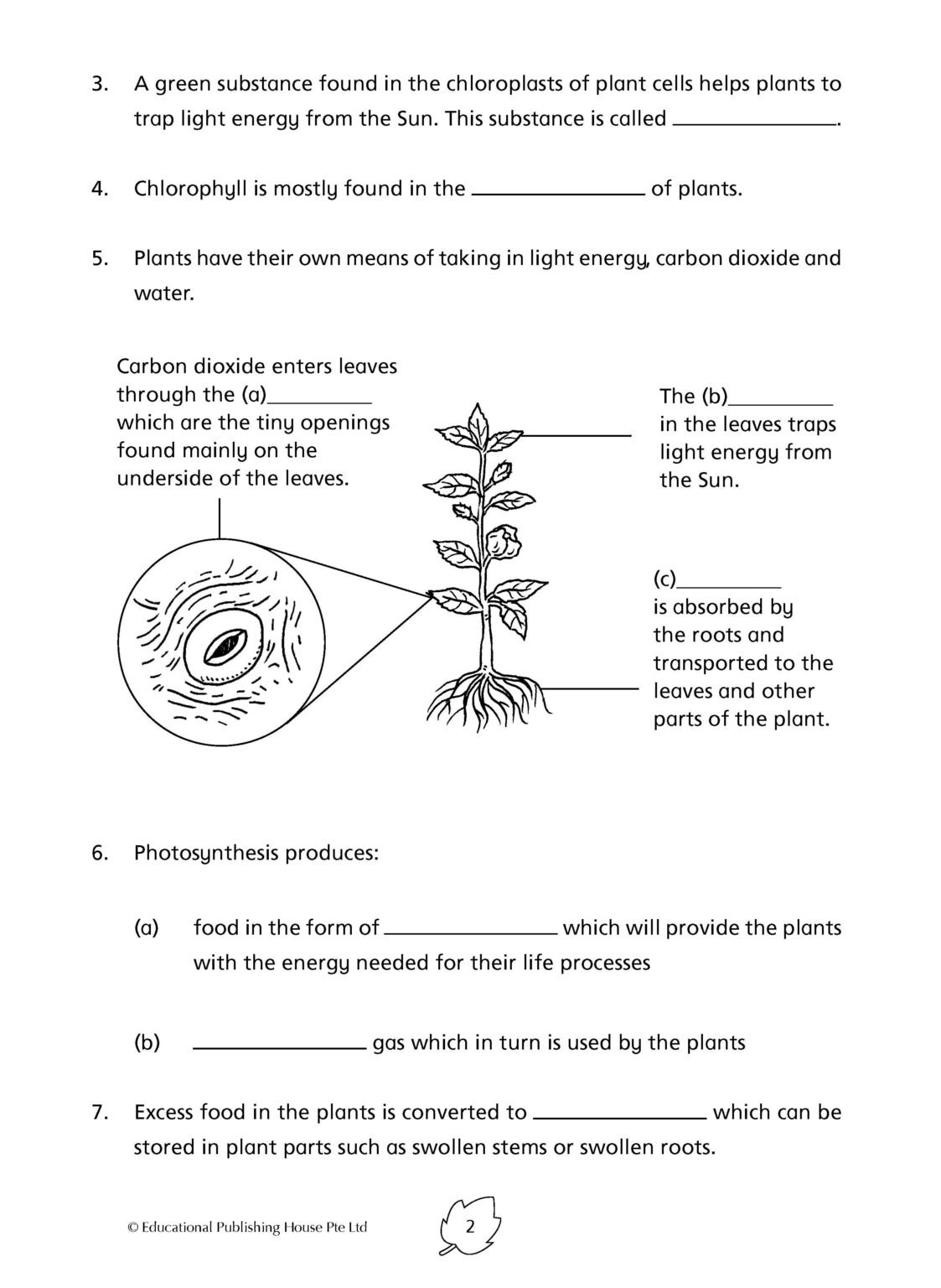 P6 Science Practice 1000+ – EPH