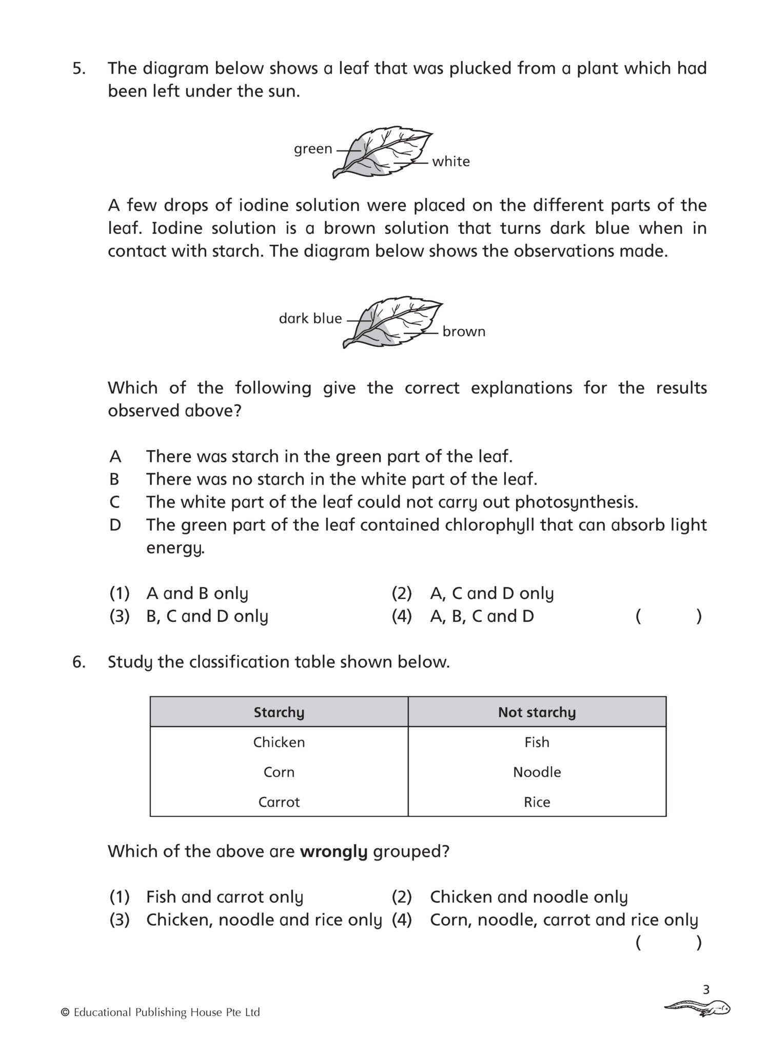 P6 Science Topical Class Tests – EPH
