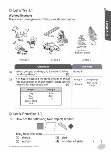 P3 Science Notes & Practice – EPH