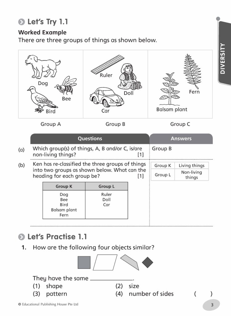 P3 Science Notes & Practice – EPH