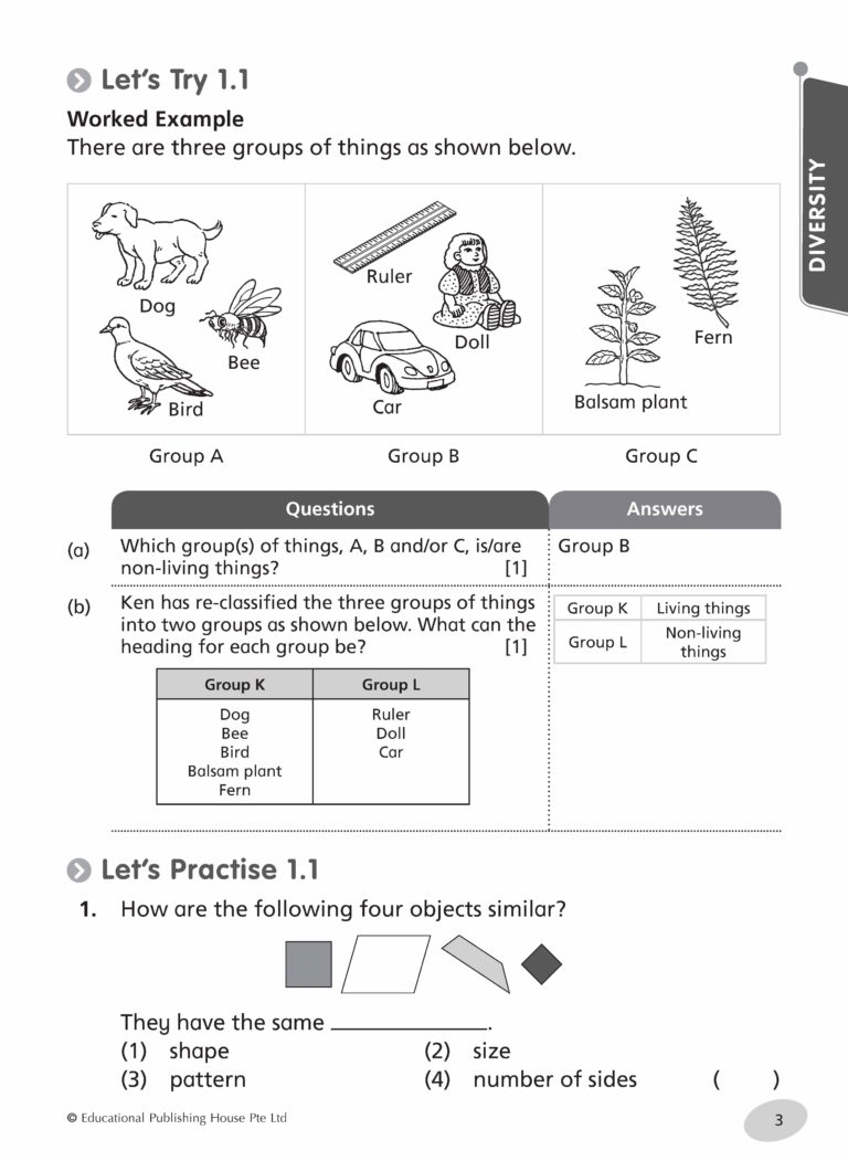 P3 Science Notes & Practice – EPH