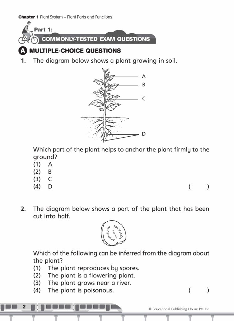 P4 Science Commonly-Tested & Challenging Exam Questions – EPH