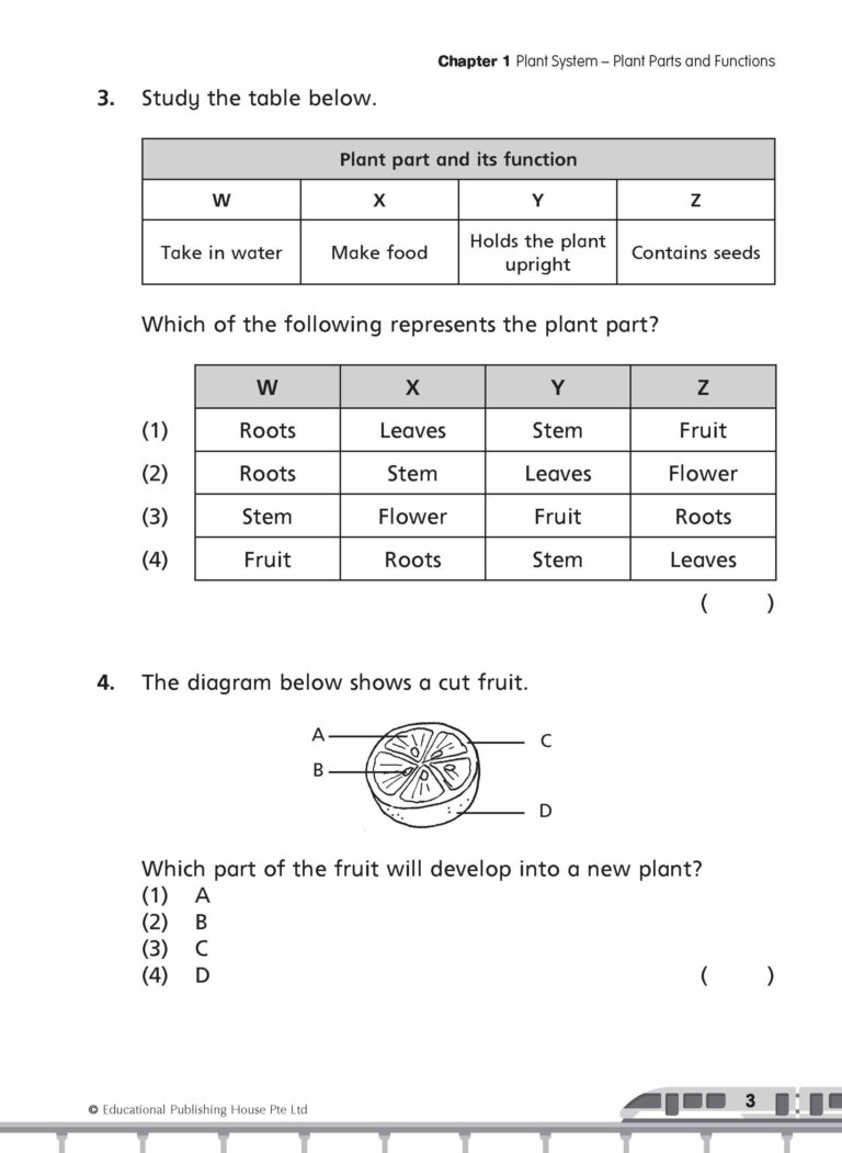 P4 Science Commonly-Tested & Challenging Exam Questions – EPH