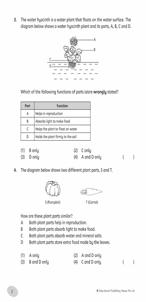 P4 Science Tests – EPH