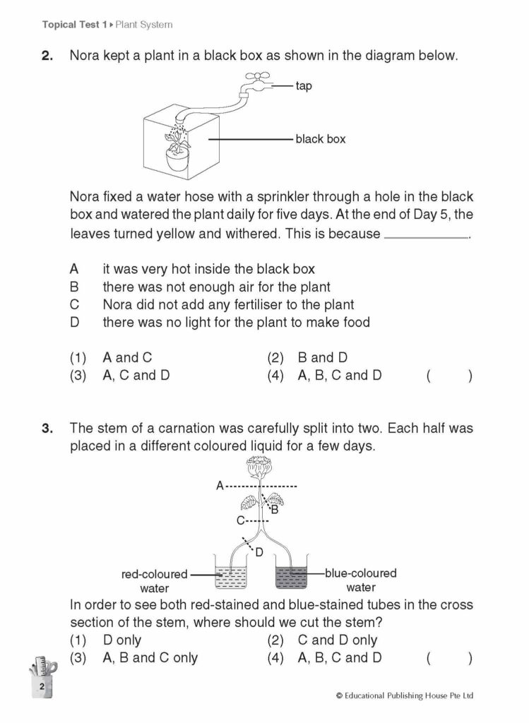 P4 Science Topical and Thematic Tests – EPH