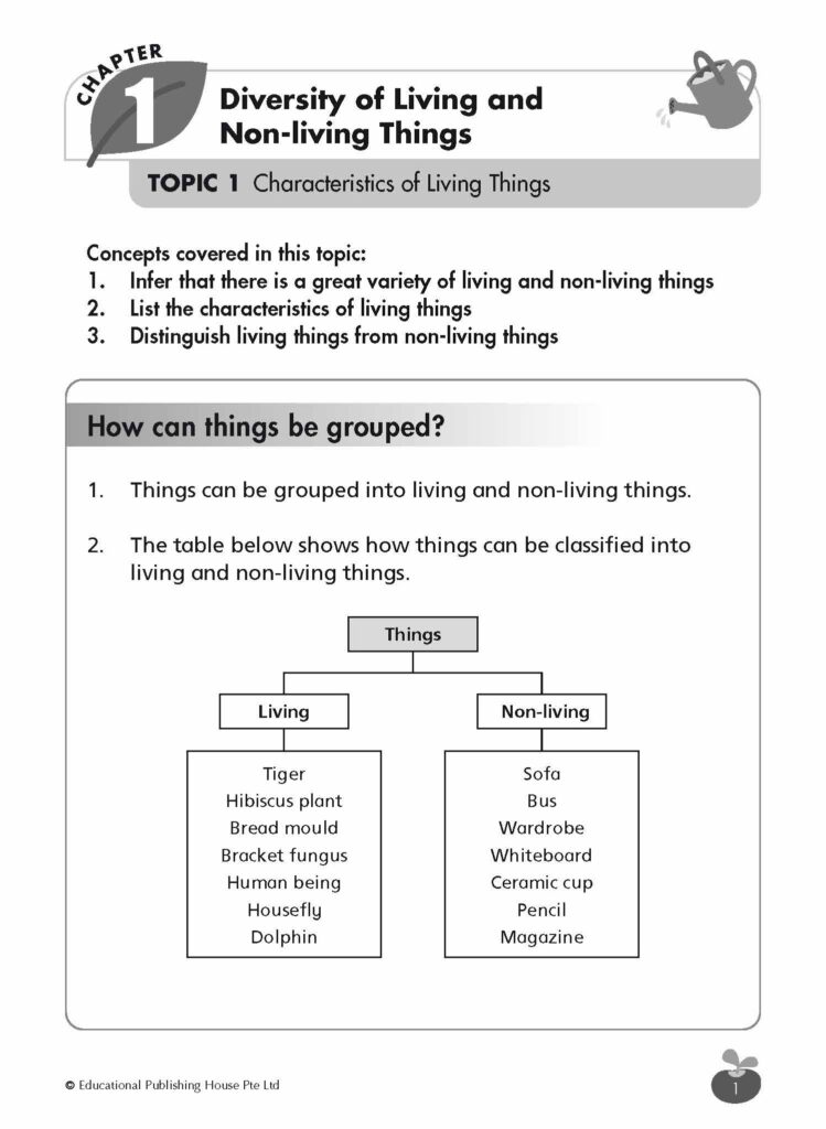 P3 Science Revision Workbook – EPH