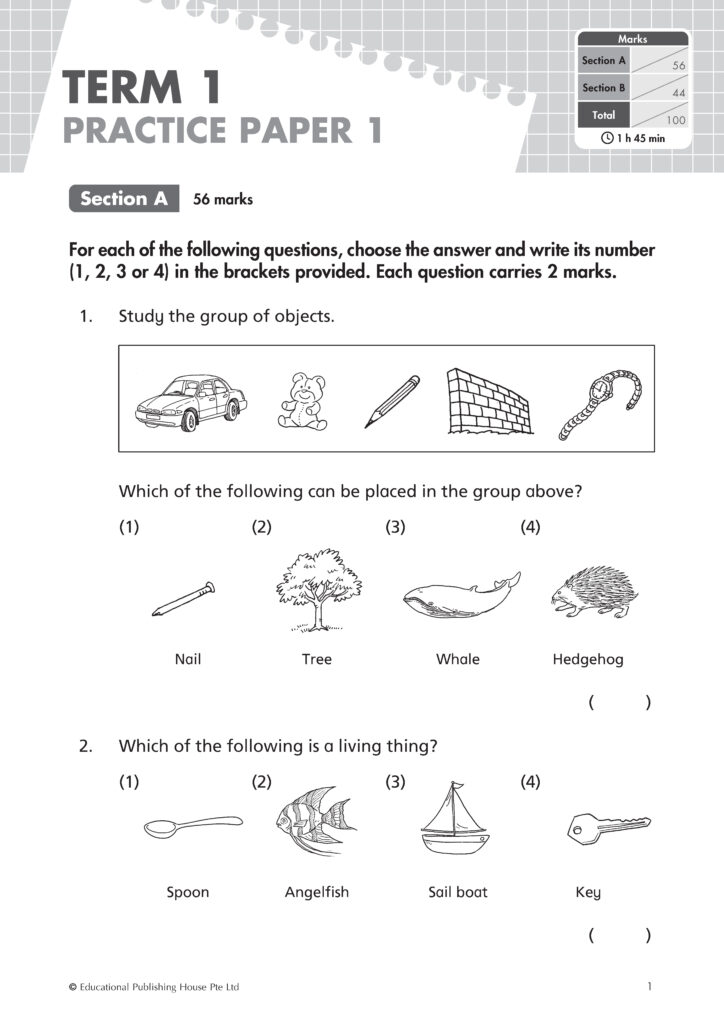 P3 TOP Science Practice Papers – EPH