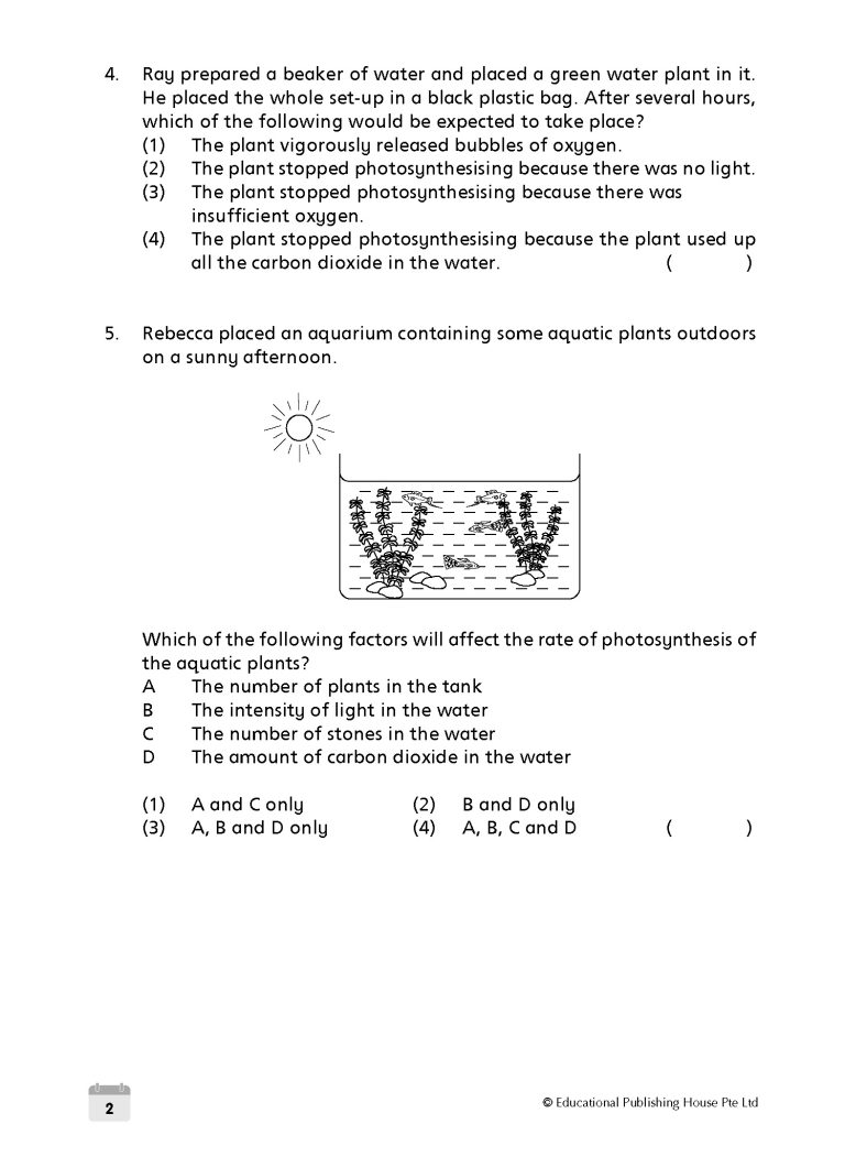 P6 Science Weekly Revision – EPH